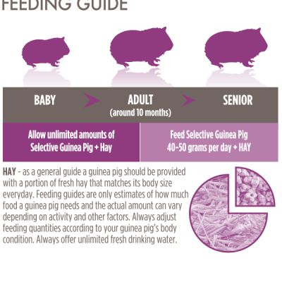 Science Selective Guinea Pig Food | Supreme Petfoods