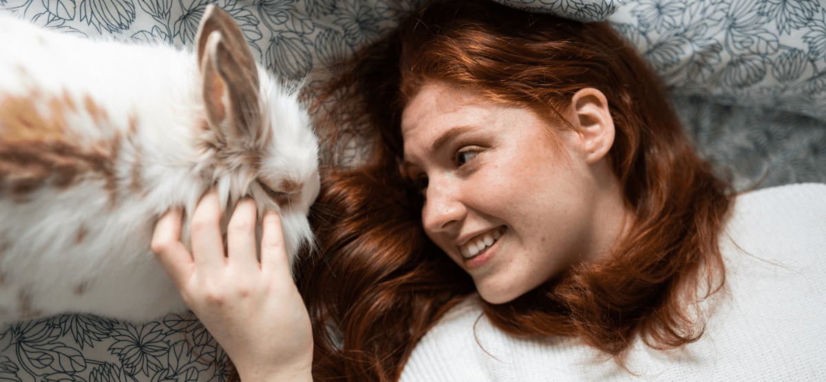 10 Reasons Why Rabbits Make Fantastic Family Pets - Supreme Petfoods